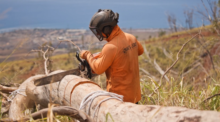 Removing invasive trees sets Kuʻia on a new path | Kamehameha Schools